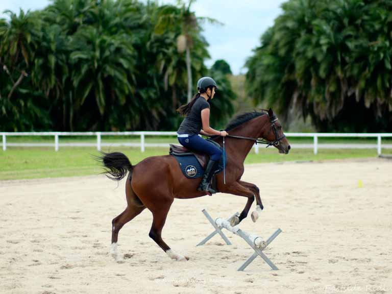 Children's Riding Lessons and Programs in Sydney - Eastside Riding Academy
