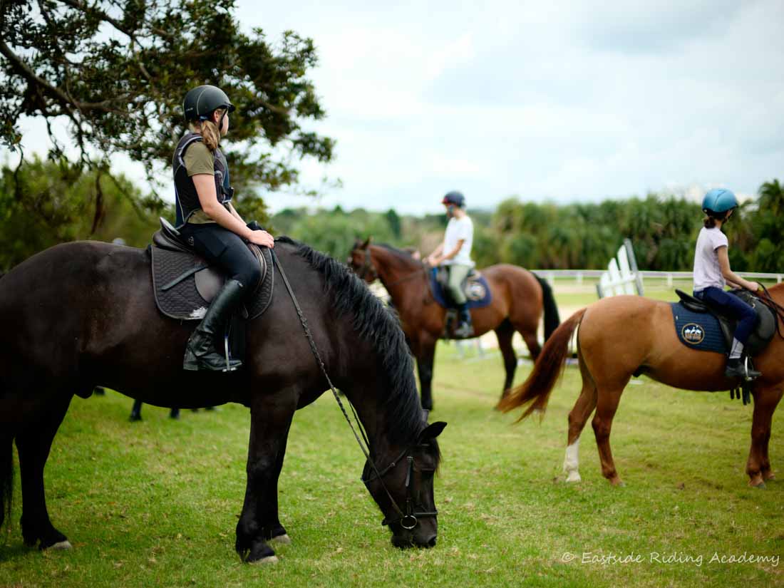 Centennial Park Riding | Pony Leads | Sydney Horse Riding - Eastside ...