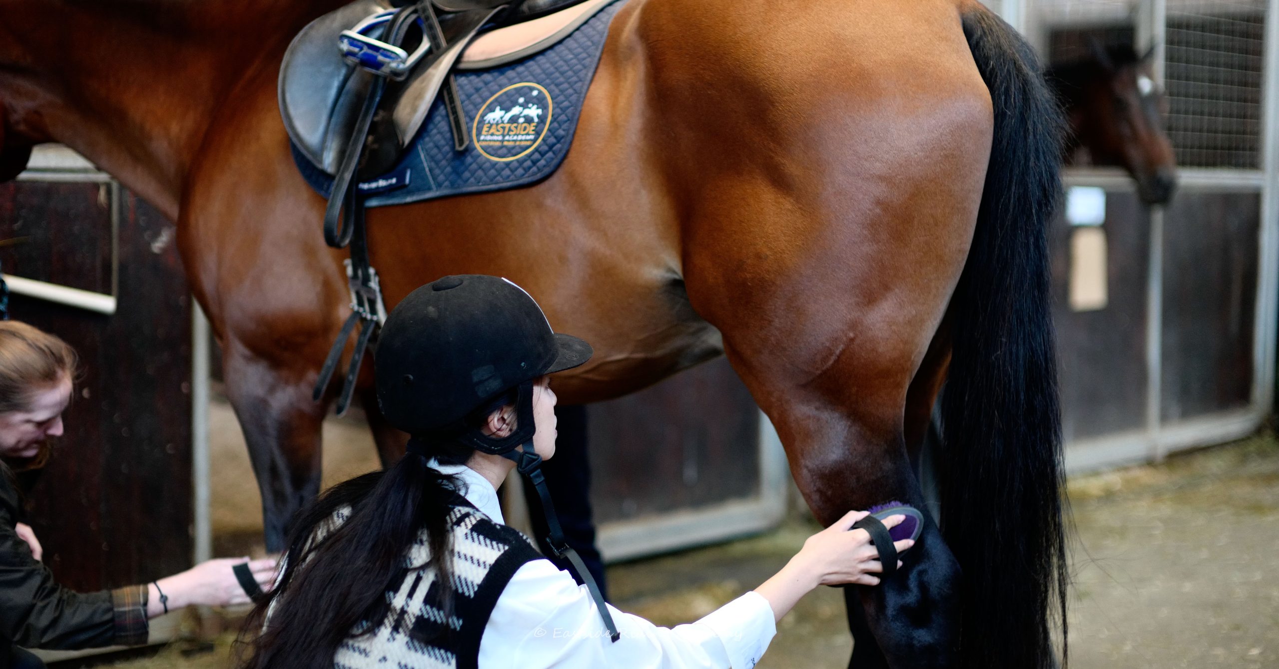 Adult Horse Riding | Sydney Equestrian | Centennial Parklands ...